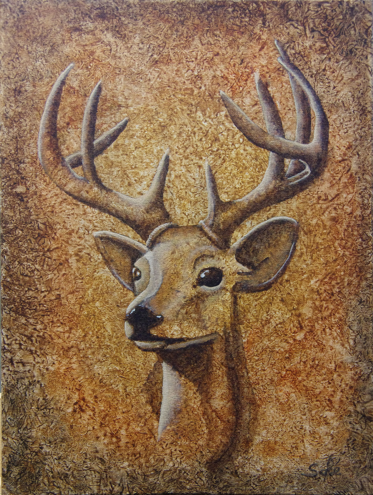 Cerf-Solé | Frédéric Servant